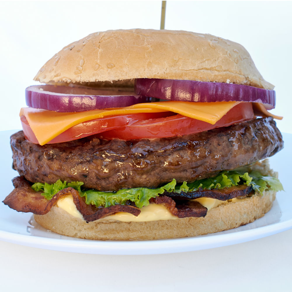 HAMBURGUESAS PREMIUM 216 G 24 UN